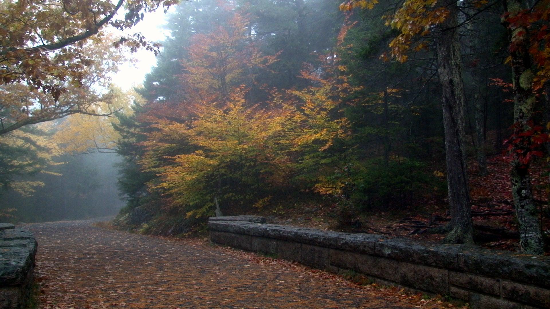 HD Computer Screensaver - Hadlock Brook, Waterfall Bridge, Acadia - My ...